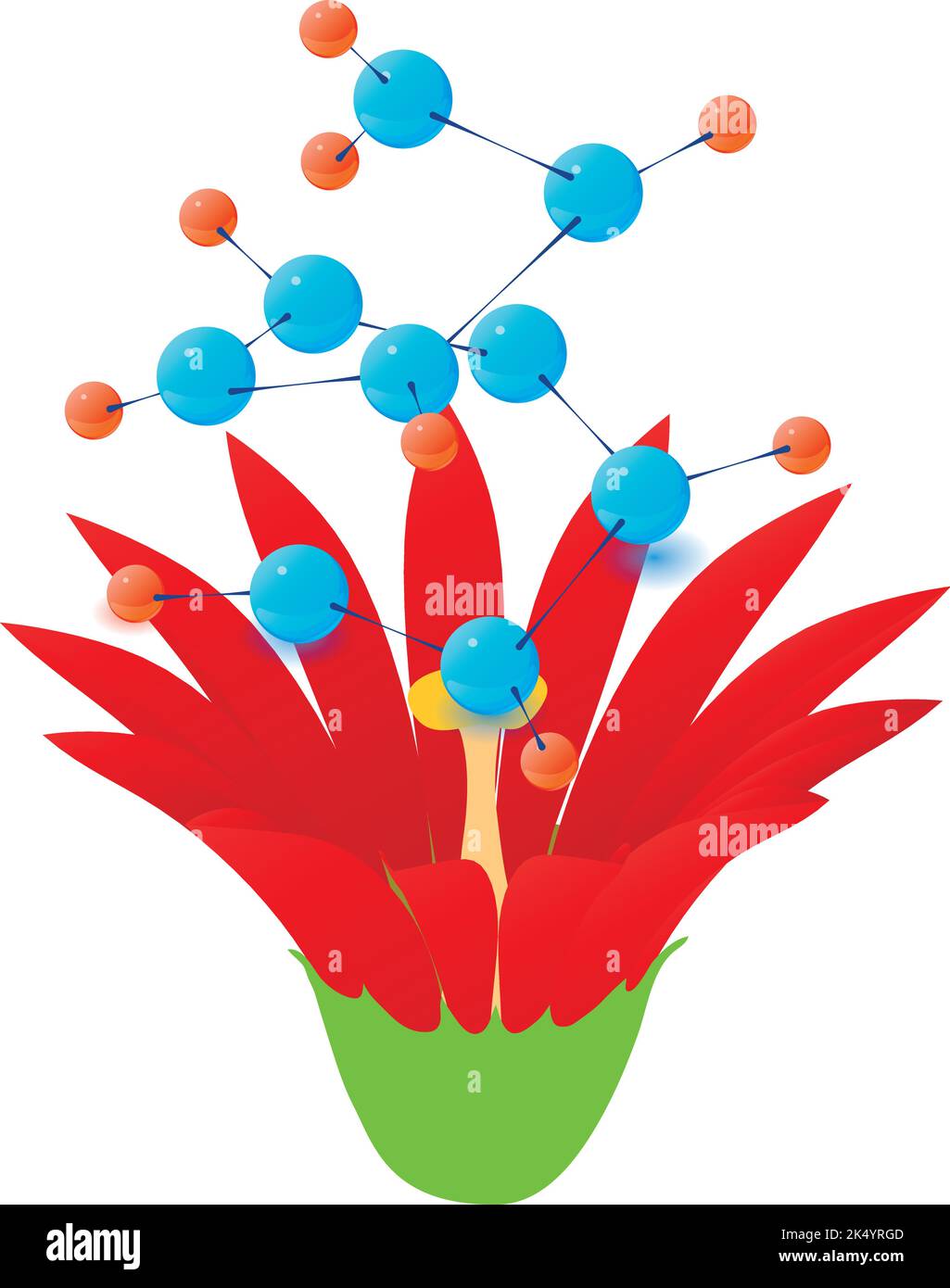 Scarlet red dahlia Stock Vector Images - Alamy