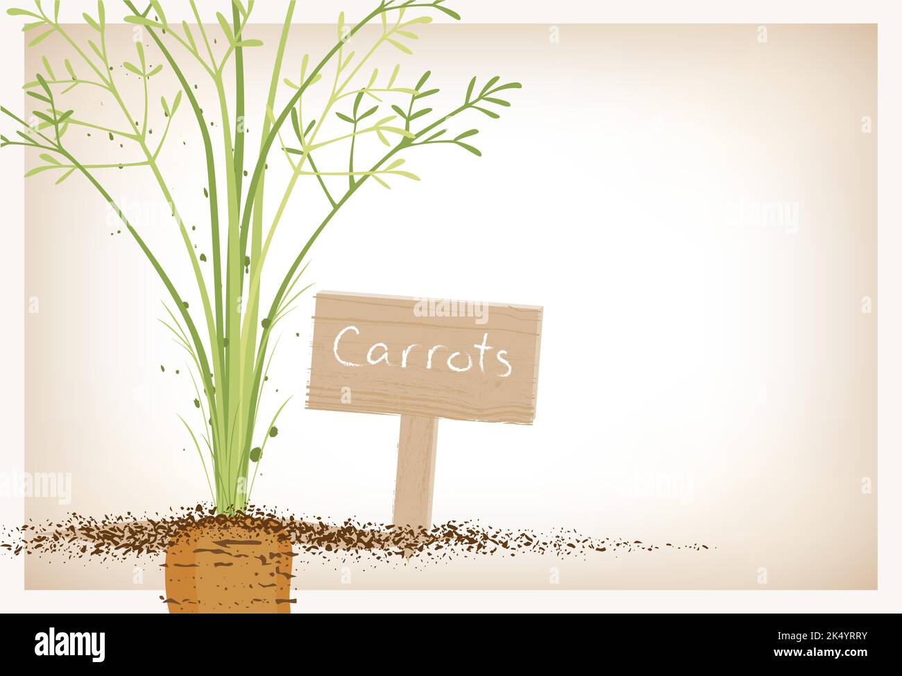 A close up of a growing carrot and a garden sign made with textures ...