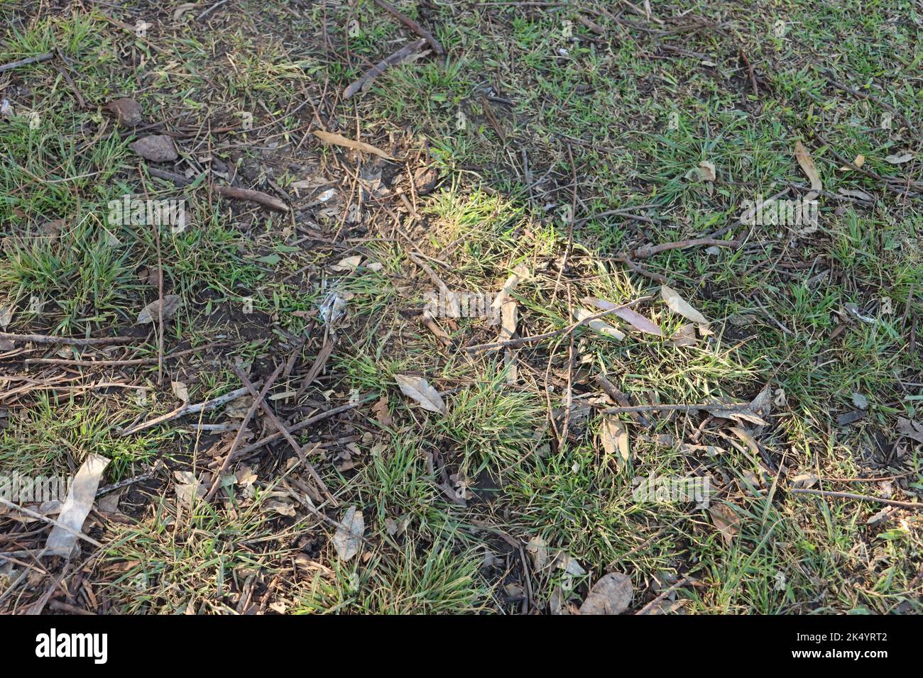 Textures 3d hi-res stock photography and images - Alamy