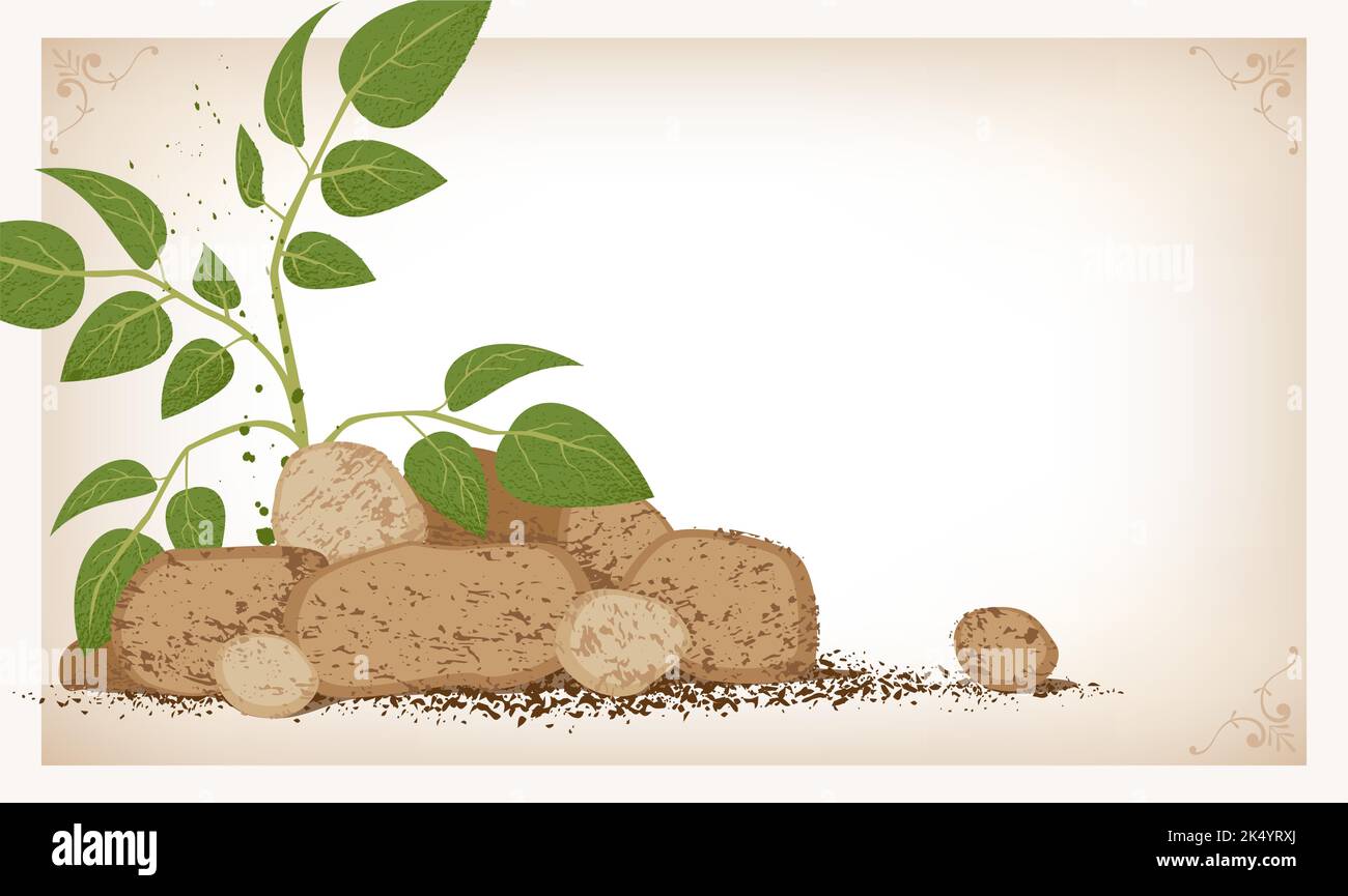 A pile of potatoes and soil made with textures Stock Vector Image & Art ...
