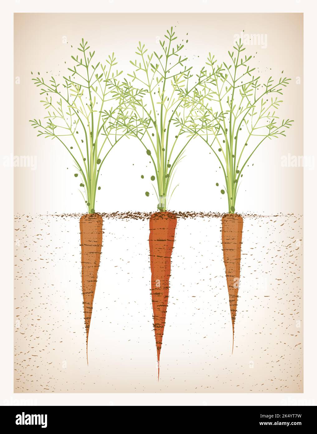 Three carrots growing in soil made with textures Stock Vector Image ...