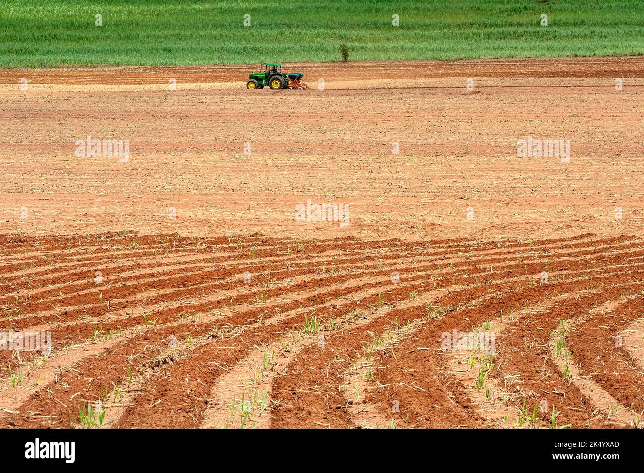 Spreader for cane hi-res stock photography and images - Alamy