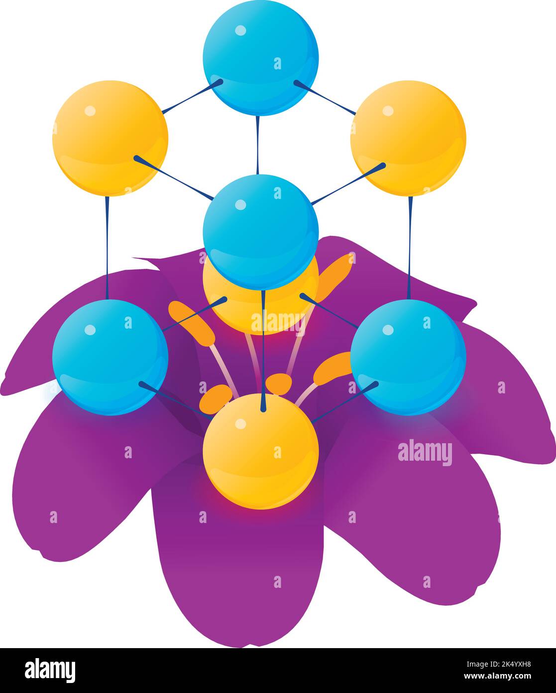 Single flowering lilly Stock Vector Images - Alamy