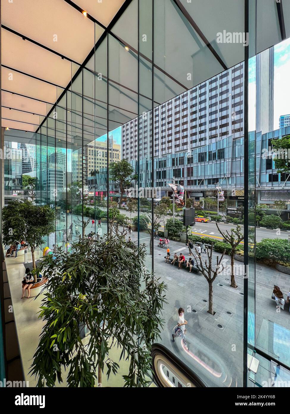 Apple store interior with trees hi-res stock photography and images - Alamy