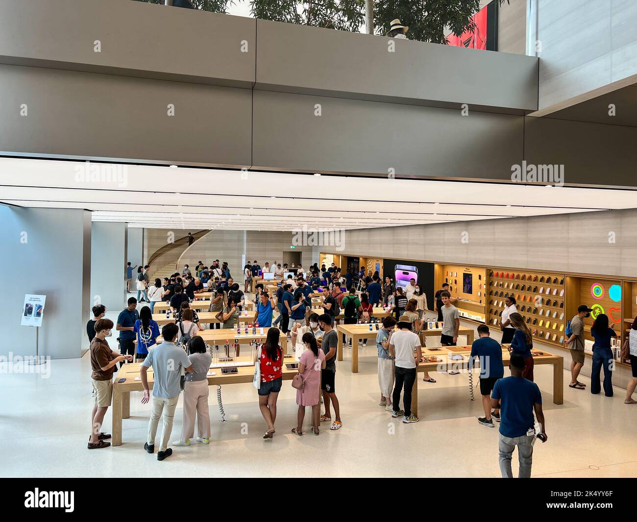 Sleek layout hi-res stock photography and images - Alamy