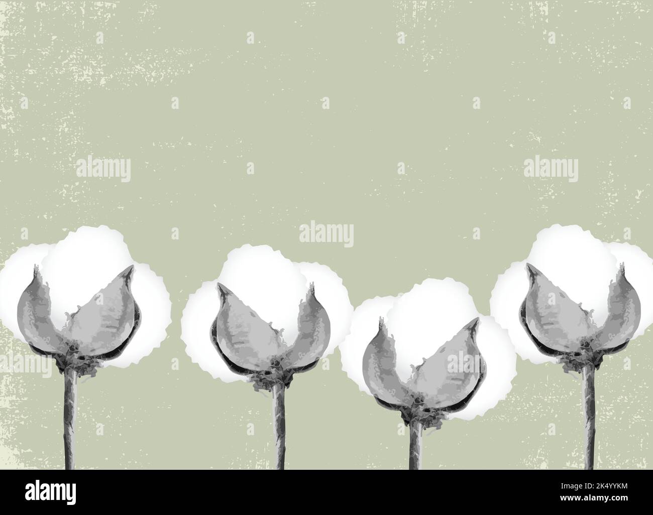 A line of grayscale vector cotton stems on a grunge background Stock ...