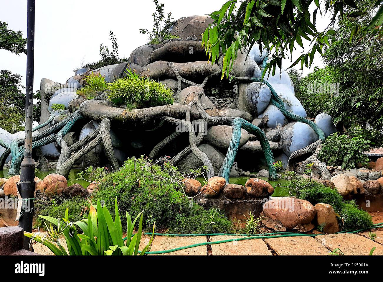 Vew of rock pebbles surrounded by web of tree roots near Samadhi at ...