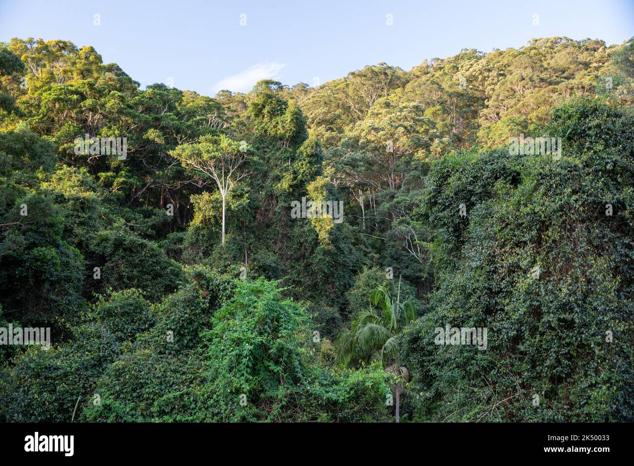 Noosa Queensland Australia Stock Photo Alamy