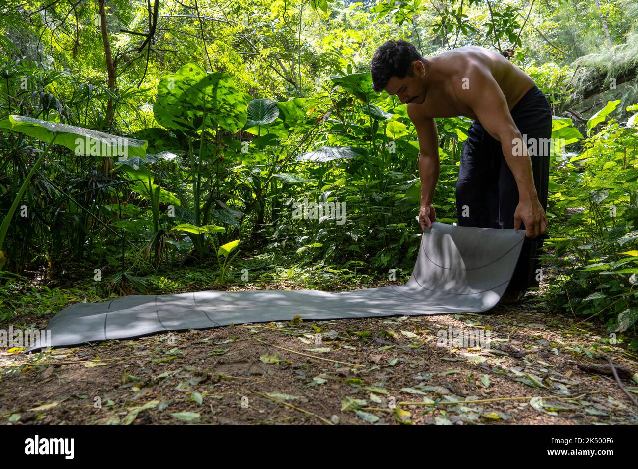 Young latin man arranging his yoga mat, inside a forest on a plain ...