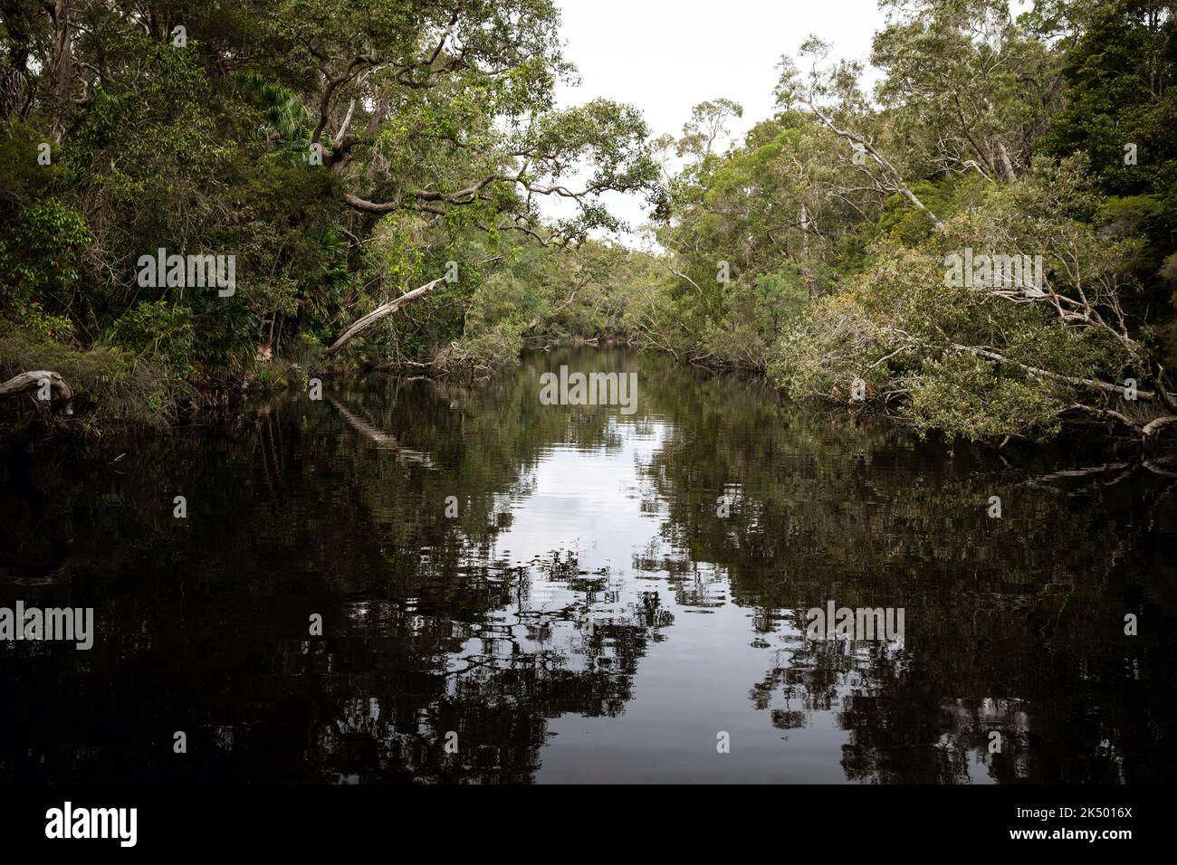 Noosa, Queensland, Australia Stock Photo - Alamy