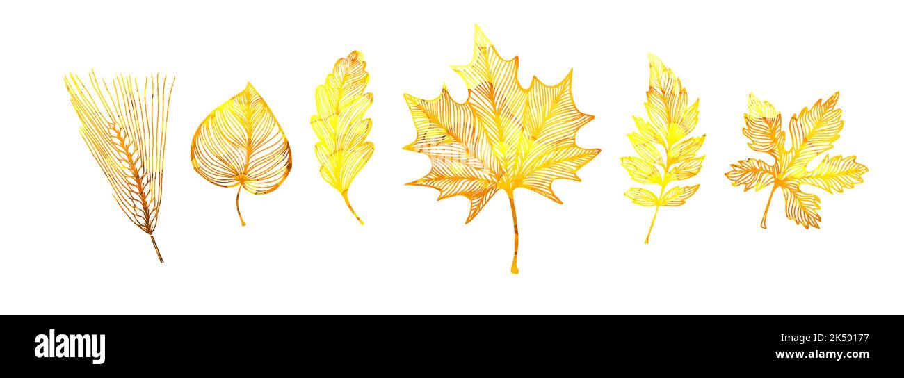 Yellow decorative autumn leaves. Vector illustration Stock Vector Image ...