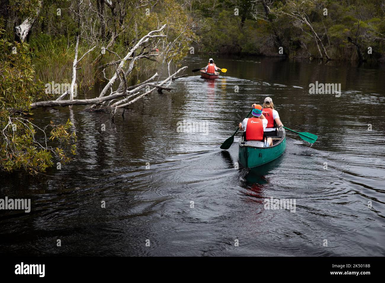 Noosa river australia canoe hi-res stock photography and images - Alamy