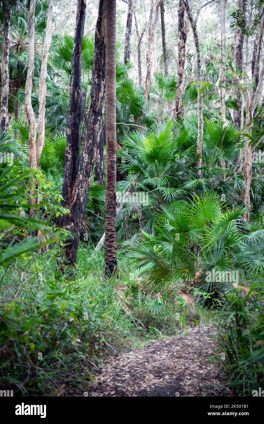 Noosa, Queensland, Australia Stock Photo - Alamy