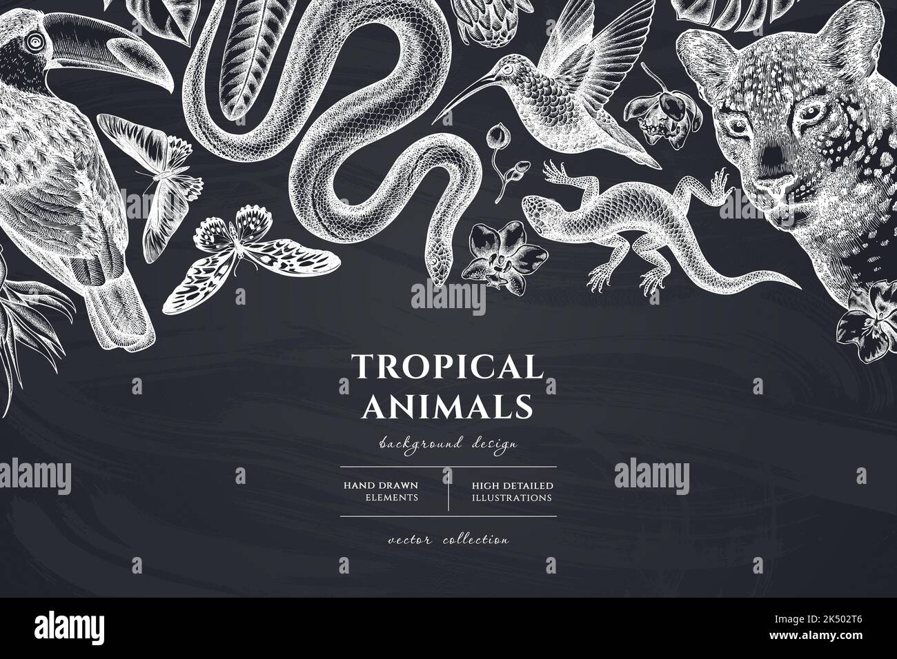Tropical animals hand drawn illustration design. Background with chalk ...