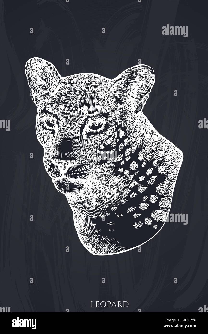 Tropical animals hand drawn vector illustrations collection. Chalk ...