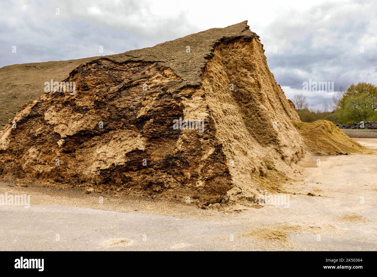 Biomass or silage that is converted into combustible gas in the biogas ...