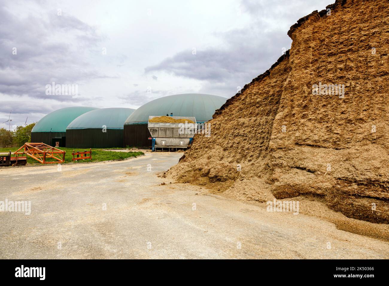 Biomass or silage that is converted into combustible gas in the biogas ...