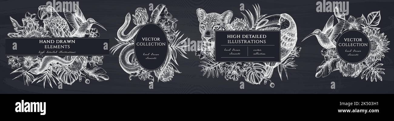 Tropical animals hand drawn frame templates. Vintage illustrations of ...