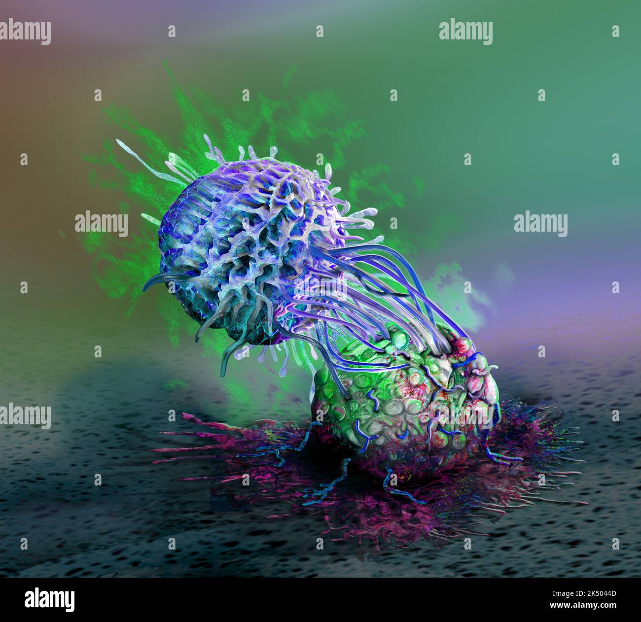 Natural killer cell attacking a cancer cell, illustration Stock Photo ...