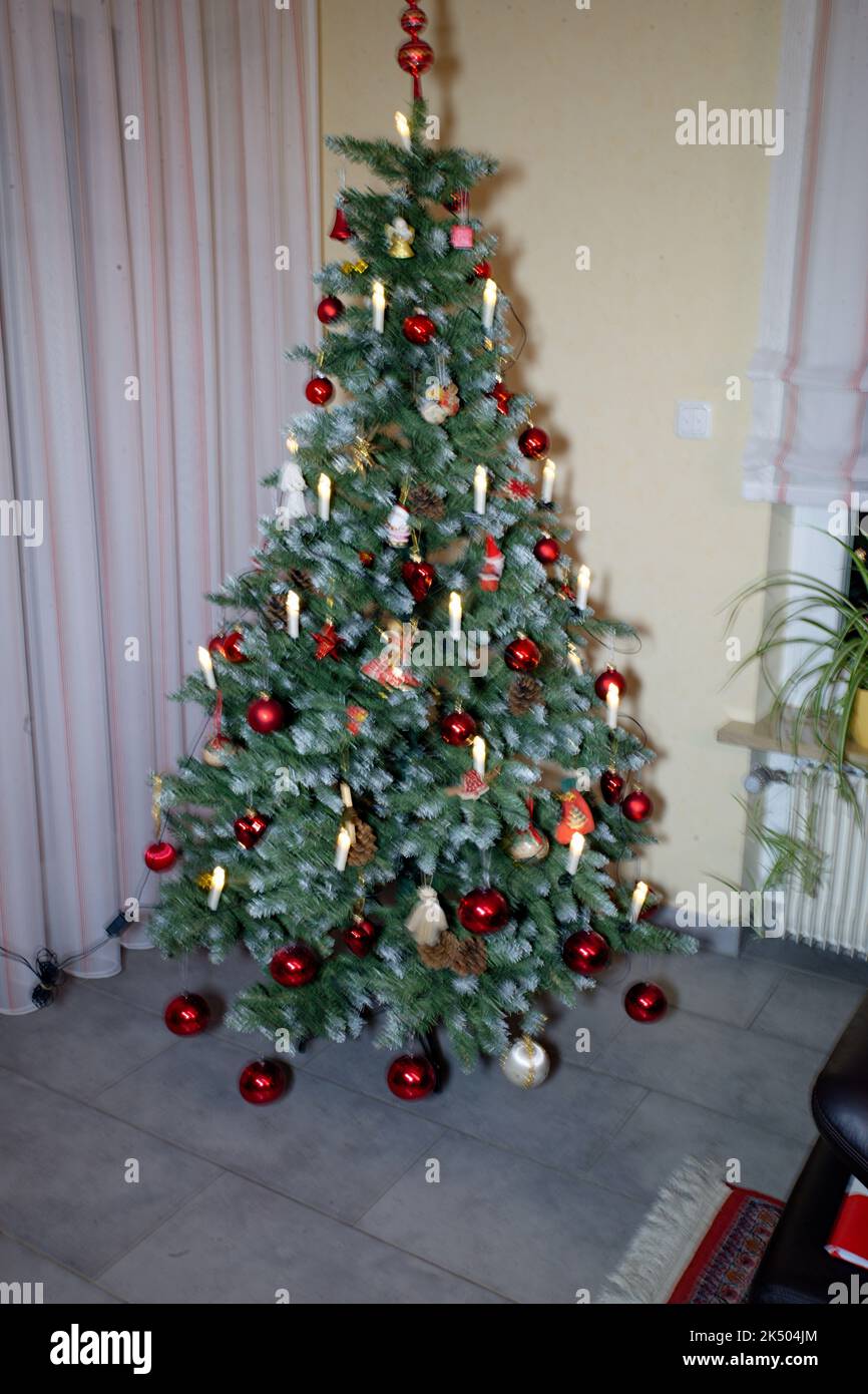 Der baum brennt hi-res stock photography and images - Alamy