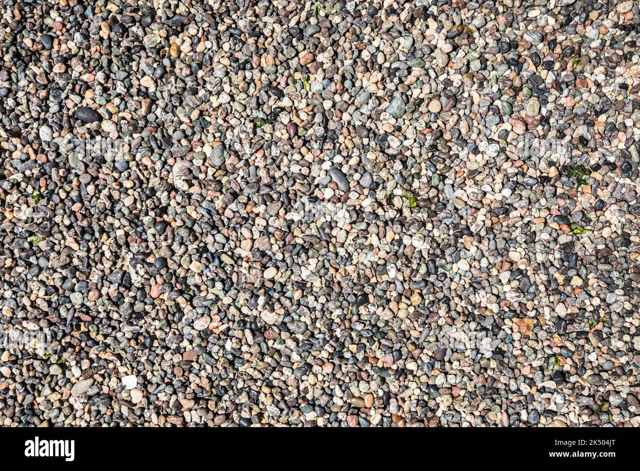 A pebble beach in Obstruction Pass State Park, Orcas Island, Washington ...