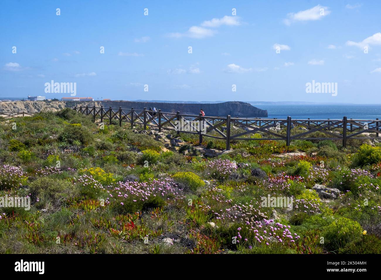 Spring wildflowers inside the Fortress of Sagres, Algarve coast ...