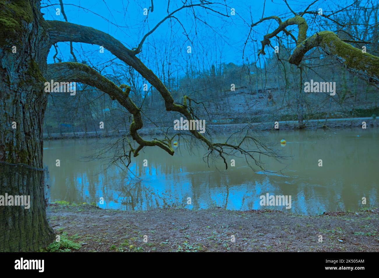 Lange aste hi-res stock photography and images - Alamy