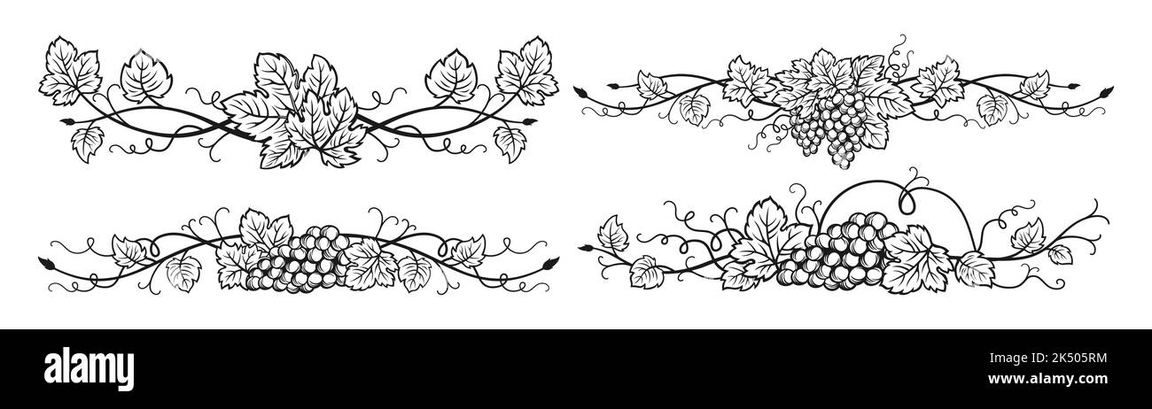 Grape vine divider bunches sketch ink set. Vintage hand drawn wine ... Grape vine divider bunches sketch ink set. Vintage hand drawn wine ...