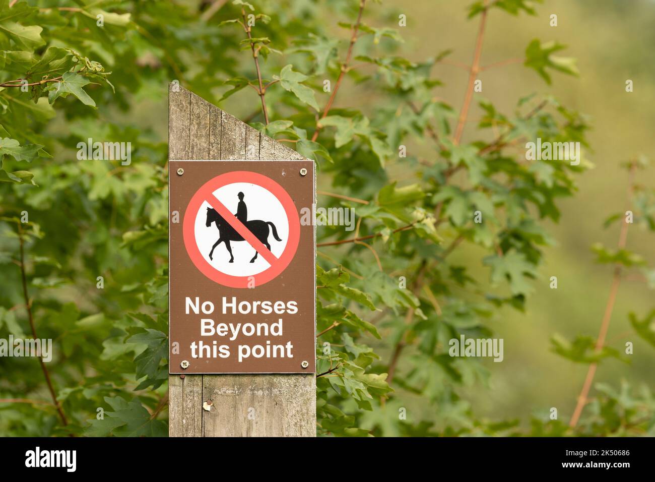 No horse riding forbidden sign symbol and text Stock Photo - Alamy