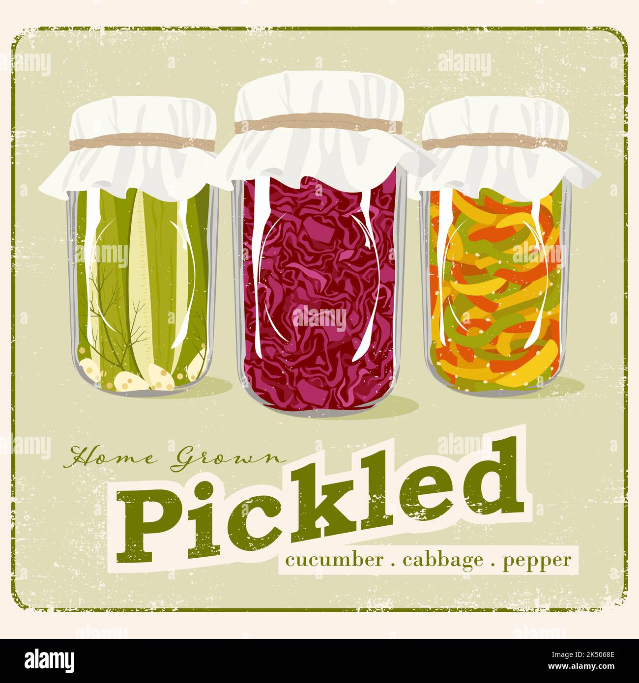 A vector vintage style poster of home pickled vegetables in jars Stock ...