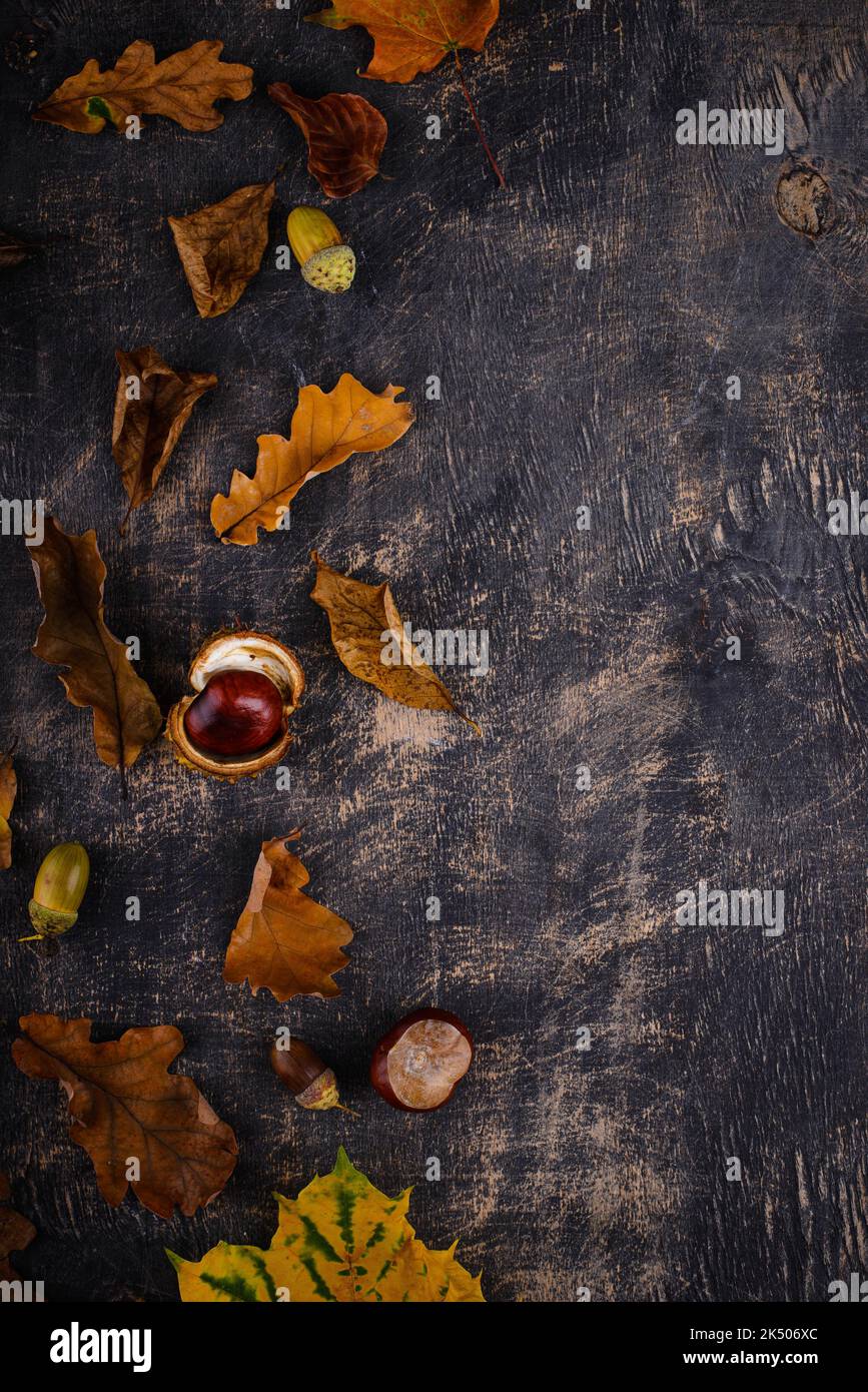 Autumn background with dry leaves Stock Photo - Alamy
