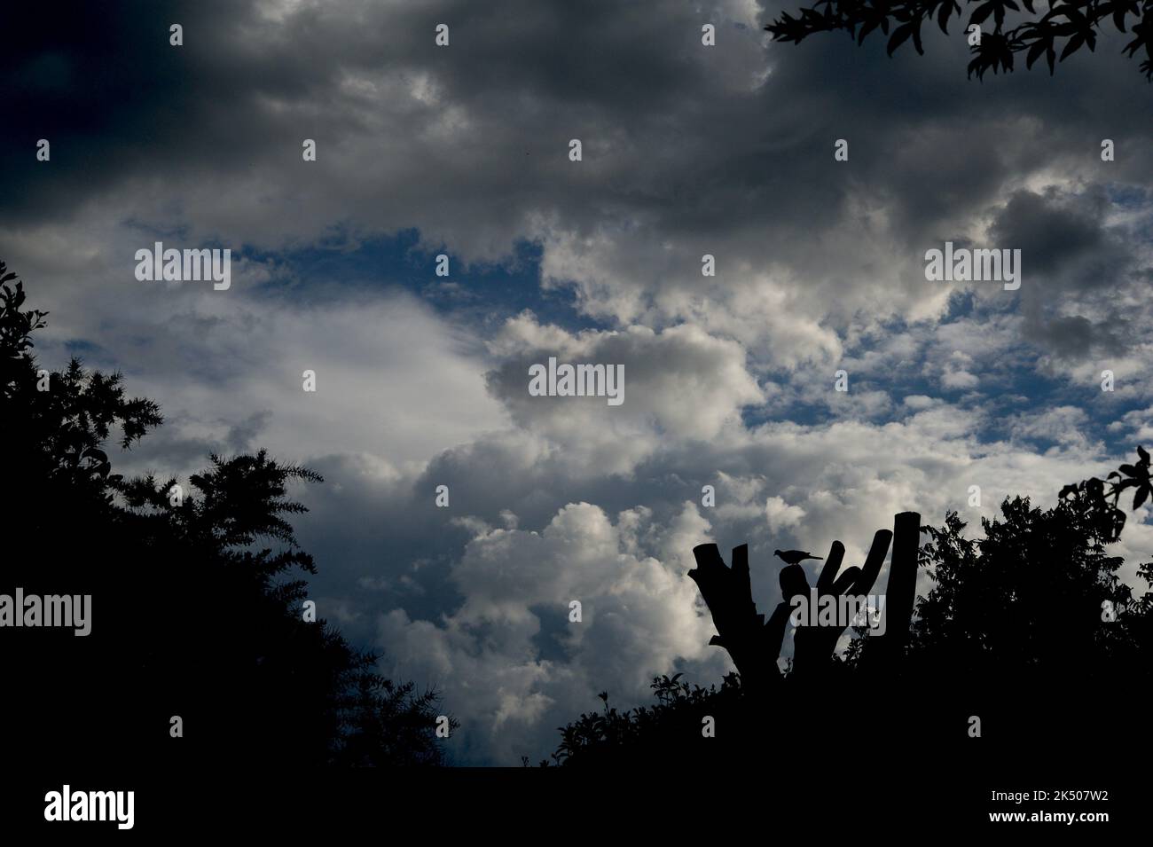 I find clouds fascinating - their endlessly changing shapes and shades ...