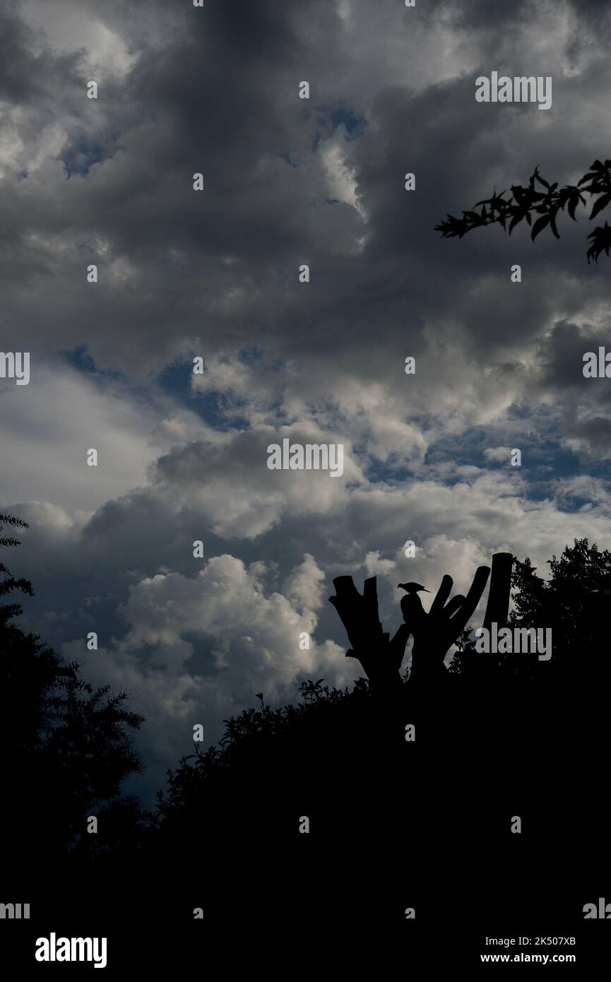 I find clouds fascinating - their endlessly changing shapes and shades ...