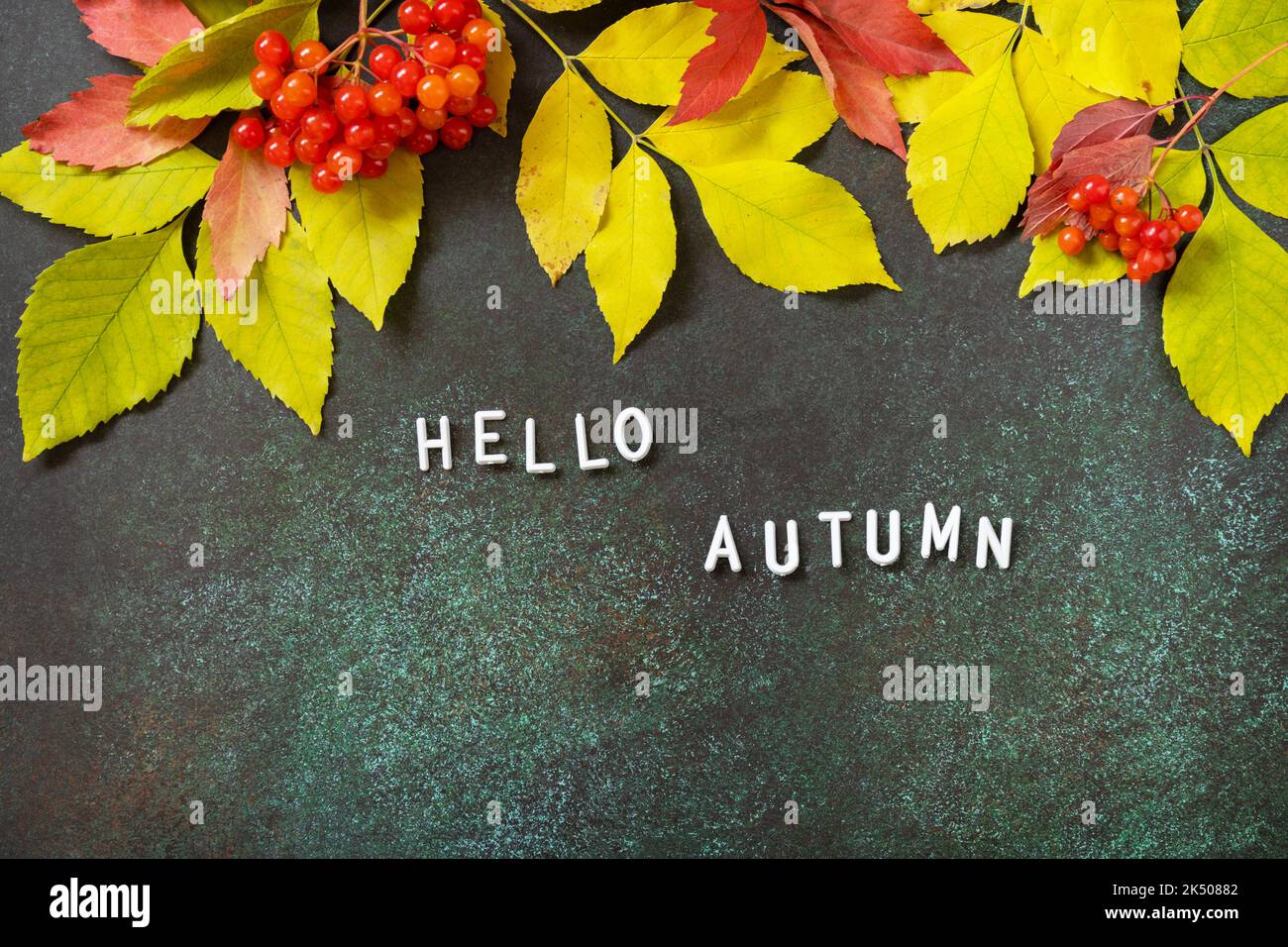 Hello Autumn text. Autumn composition with colorful leaves and autumn ...