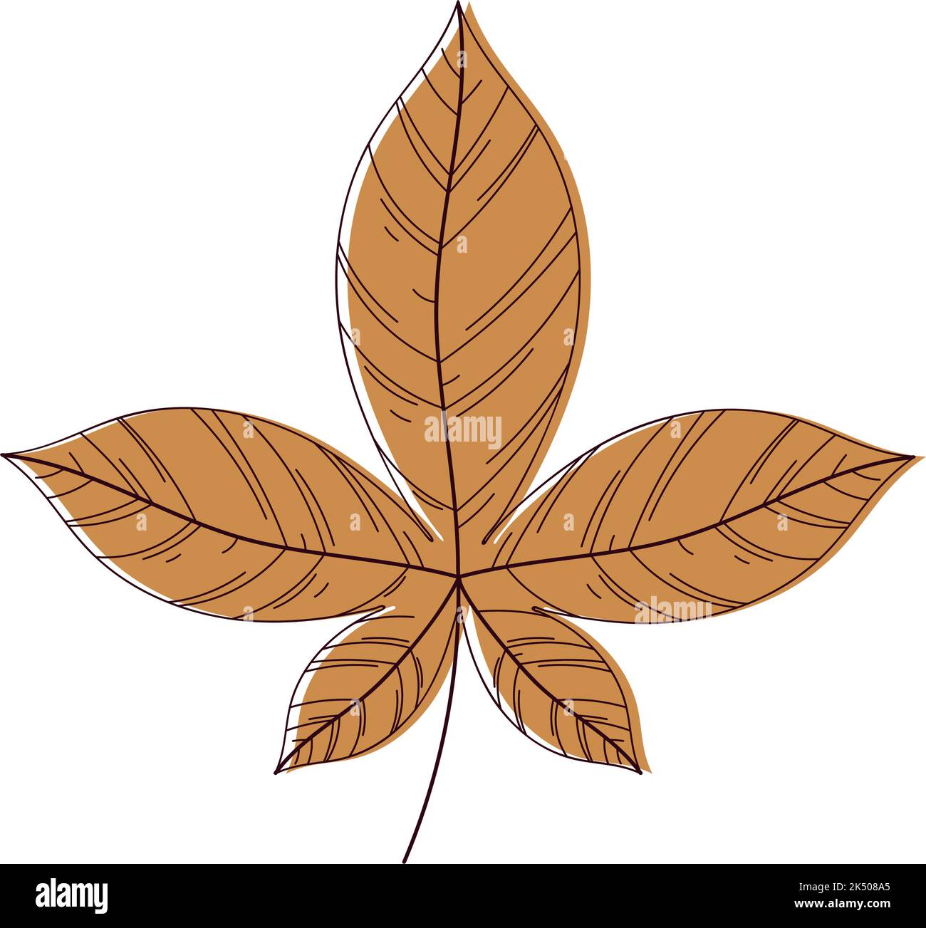 autumn leaf icon Stock Vector Image & Art - Alamy