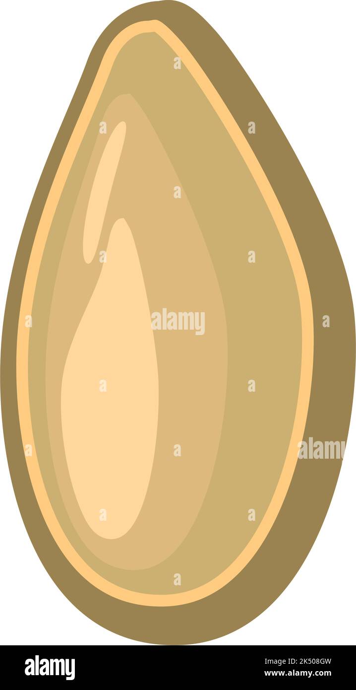 pine seed grain product icon Stock Vector Image & Art - Alamy