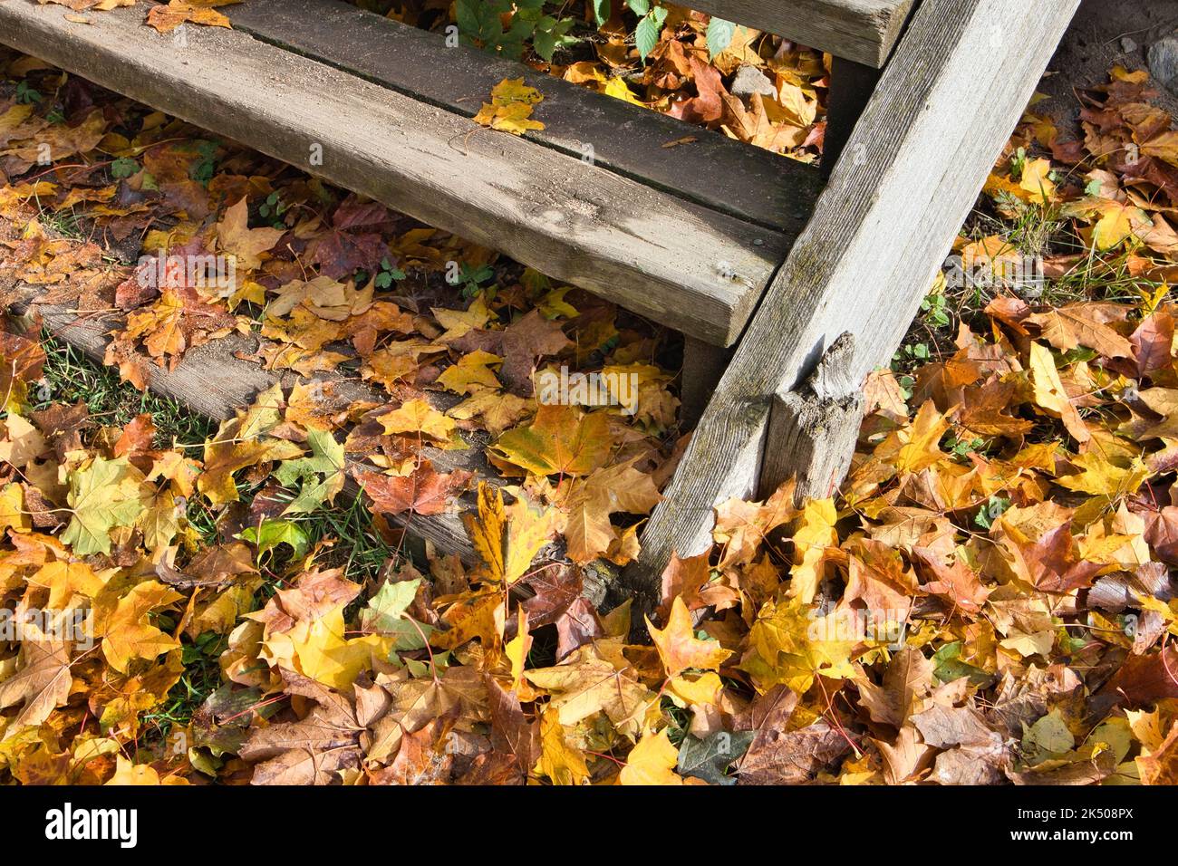 grey wooden plank stairs with autumn leaves Stock Photo - Alamy