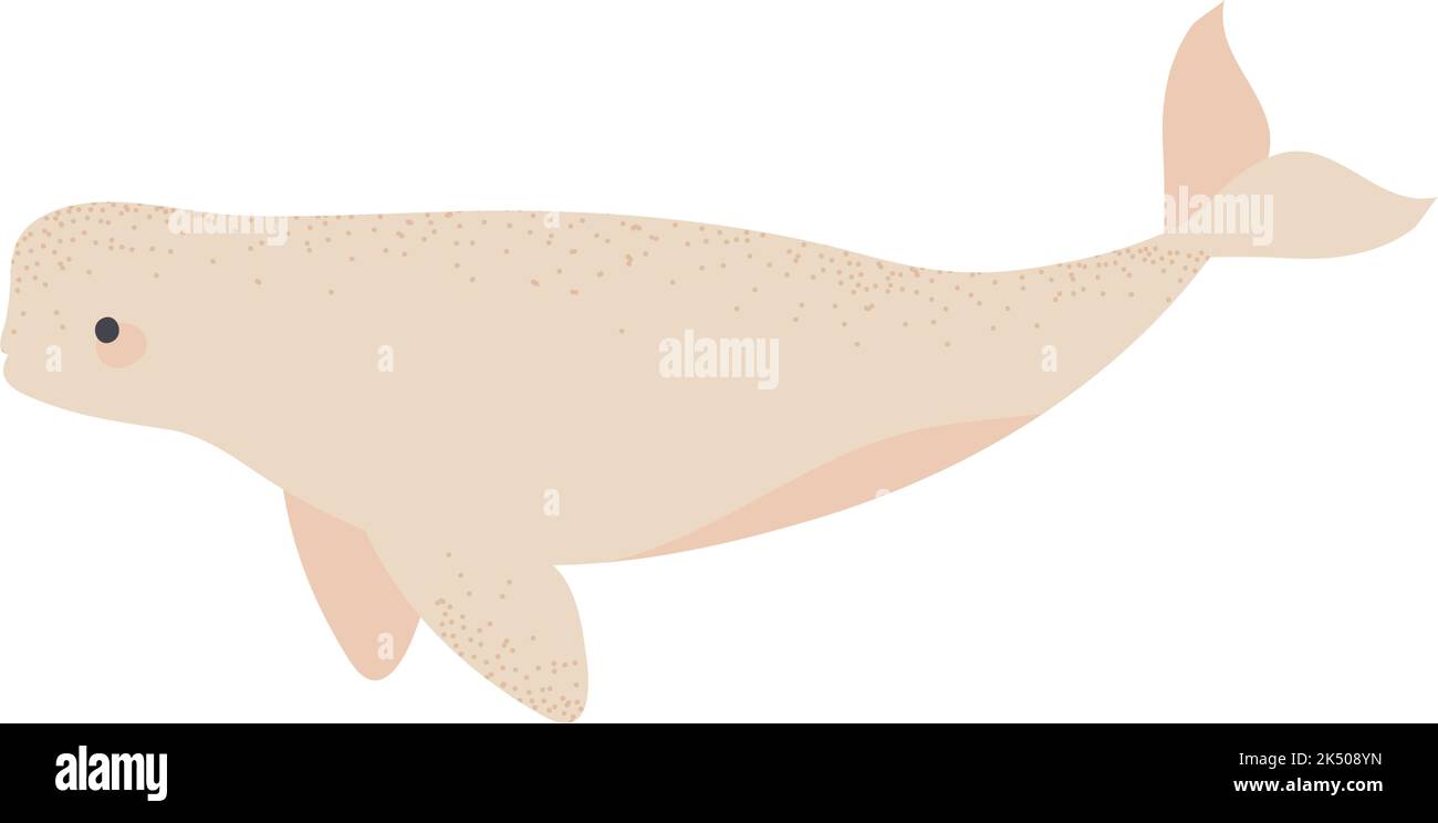 beluga isolated icon Stock Vector Image & Art - Alamy