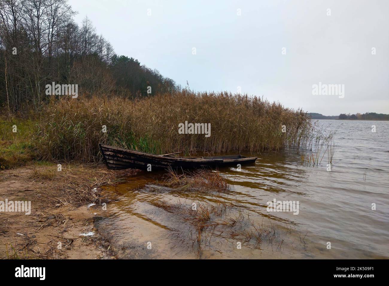 An old forgotten wooden boat at the lake shore, by dry water plants ...