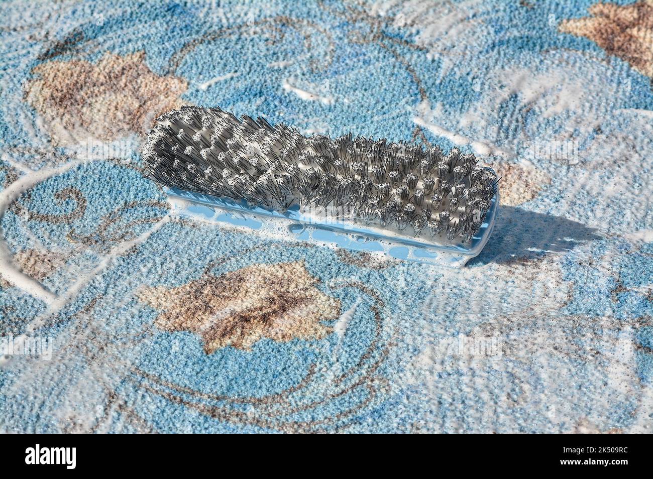 the brush, soaped with a soap solution, lies on the carpet, which is ...