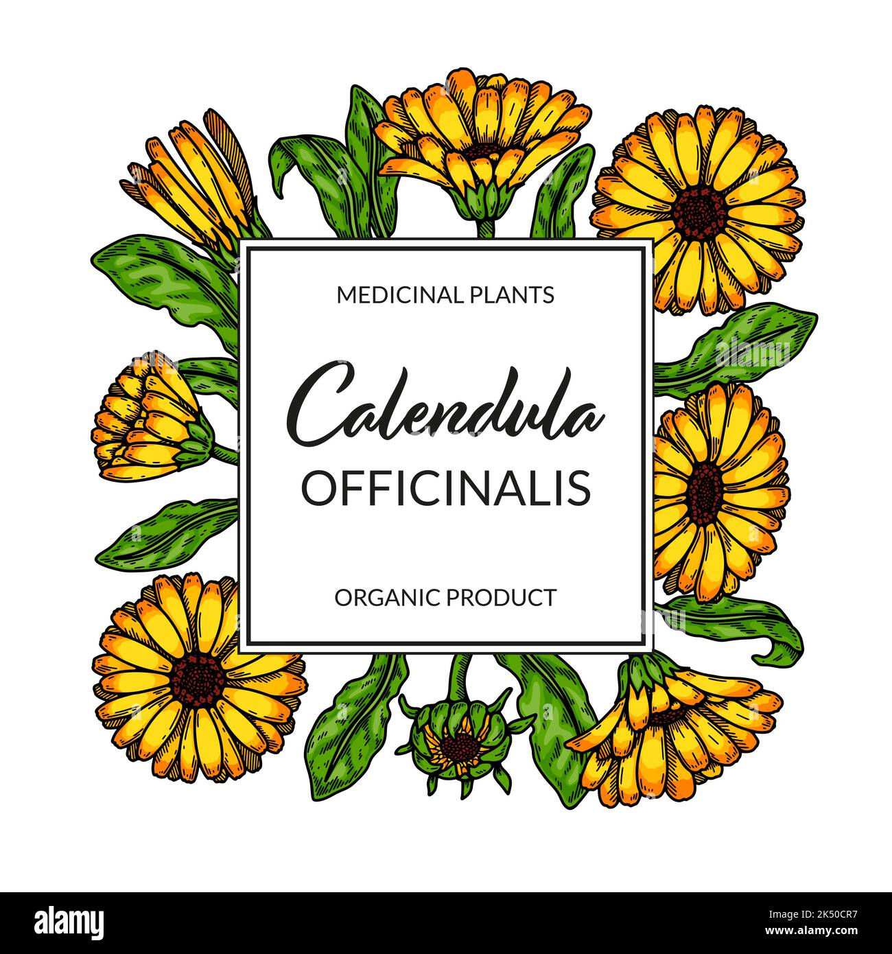 Flower design drawing hi-res stock photography and images - Alamy