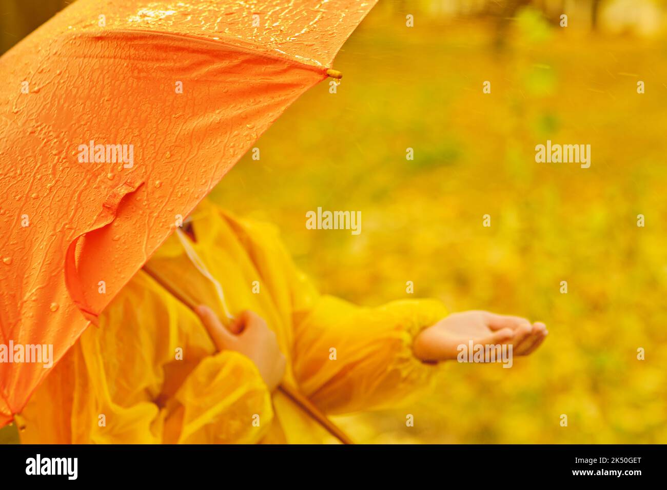happy kid catching rain drops in Autumn park Stock Photo - Alamy