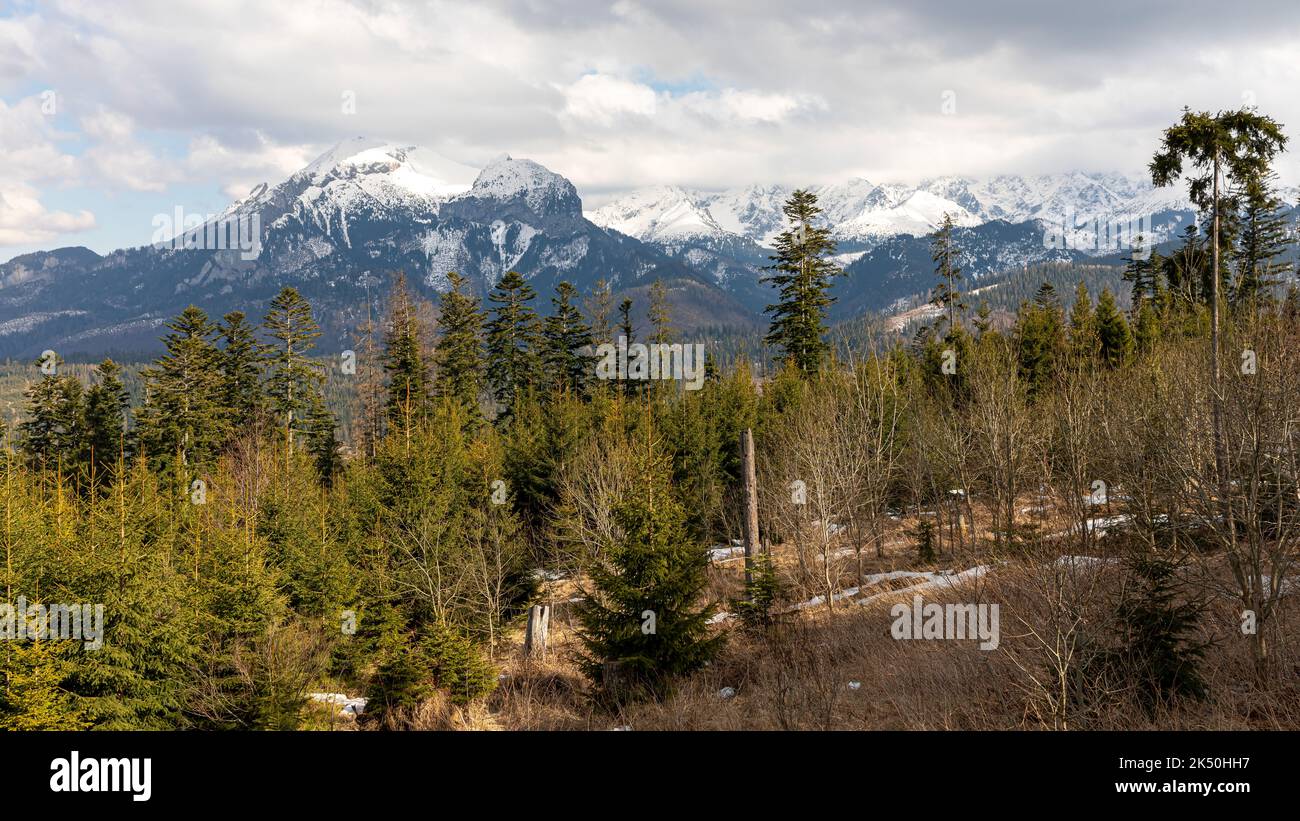 Beautiful landscape in the Polish Tatra Mountains in April. View of the ...