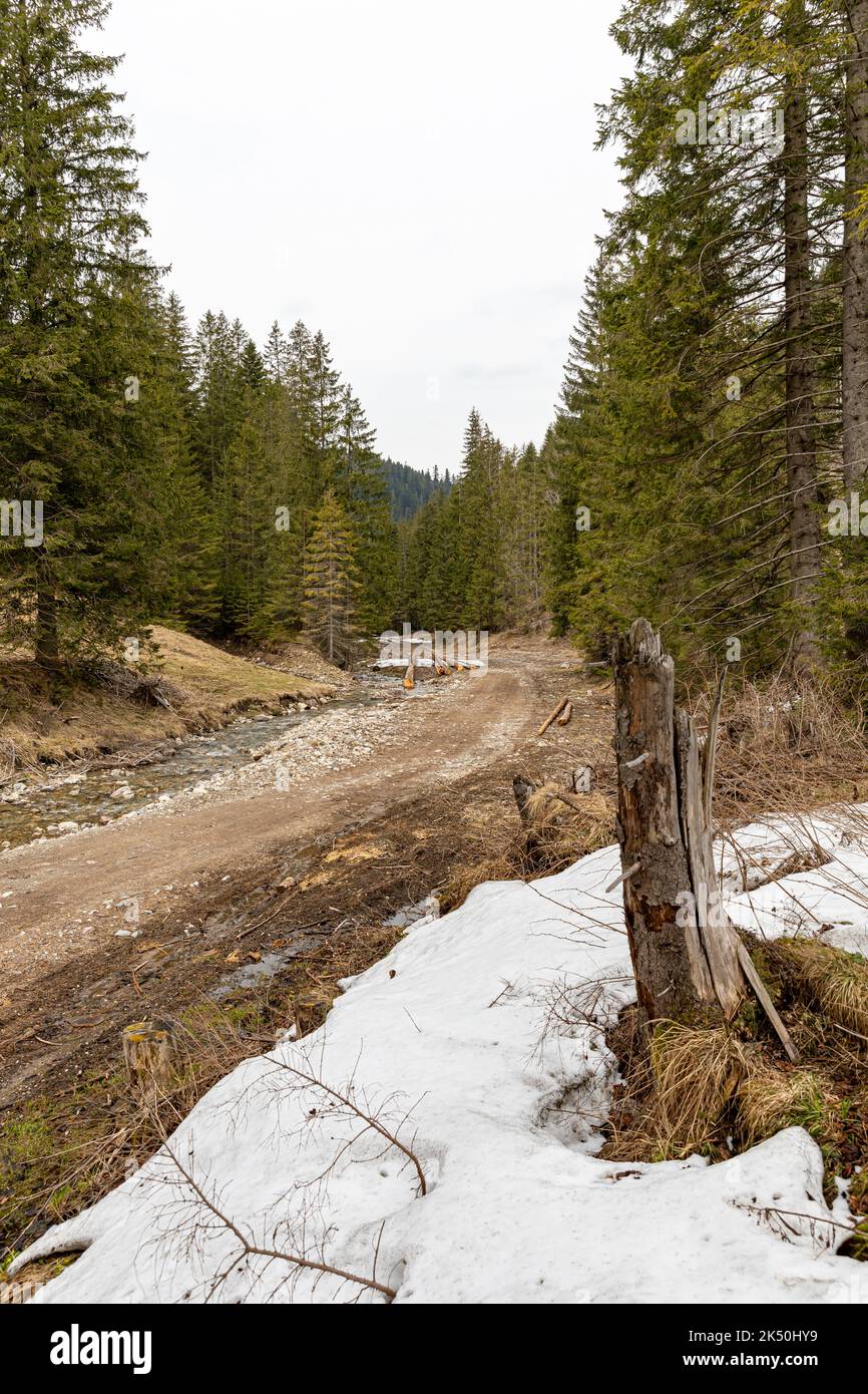 Beautiful landscape in the Polish Tatra Mountains.April sunny day Stock ...