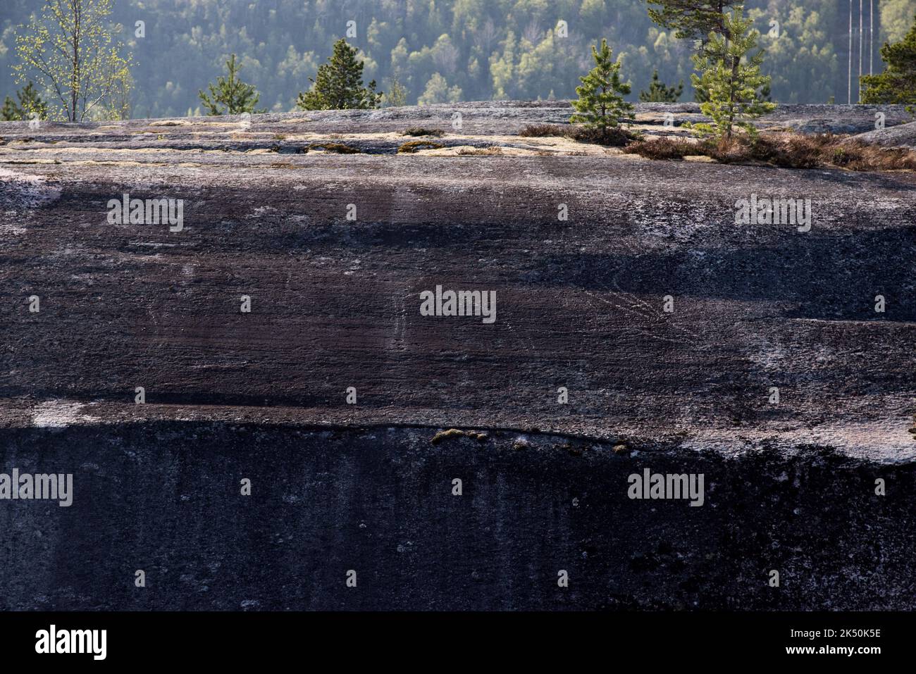 9000 years ago stoneage hunters carved some Reindeer near nowadays ...