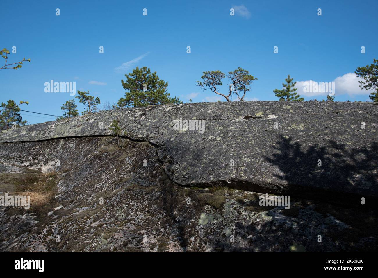 9000 years ago stoneage hunters carved some Reindeer near nowadays ...
