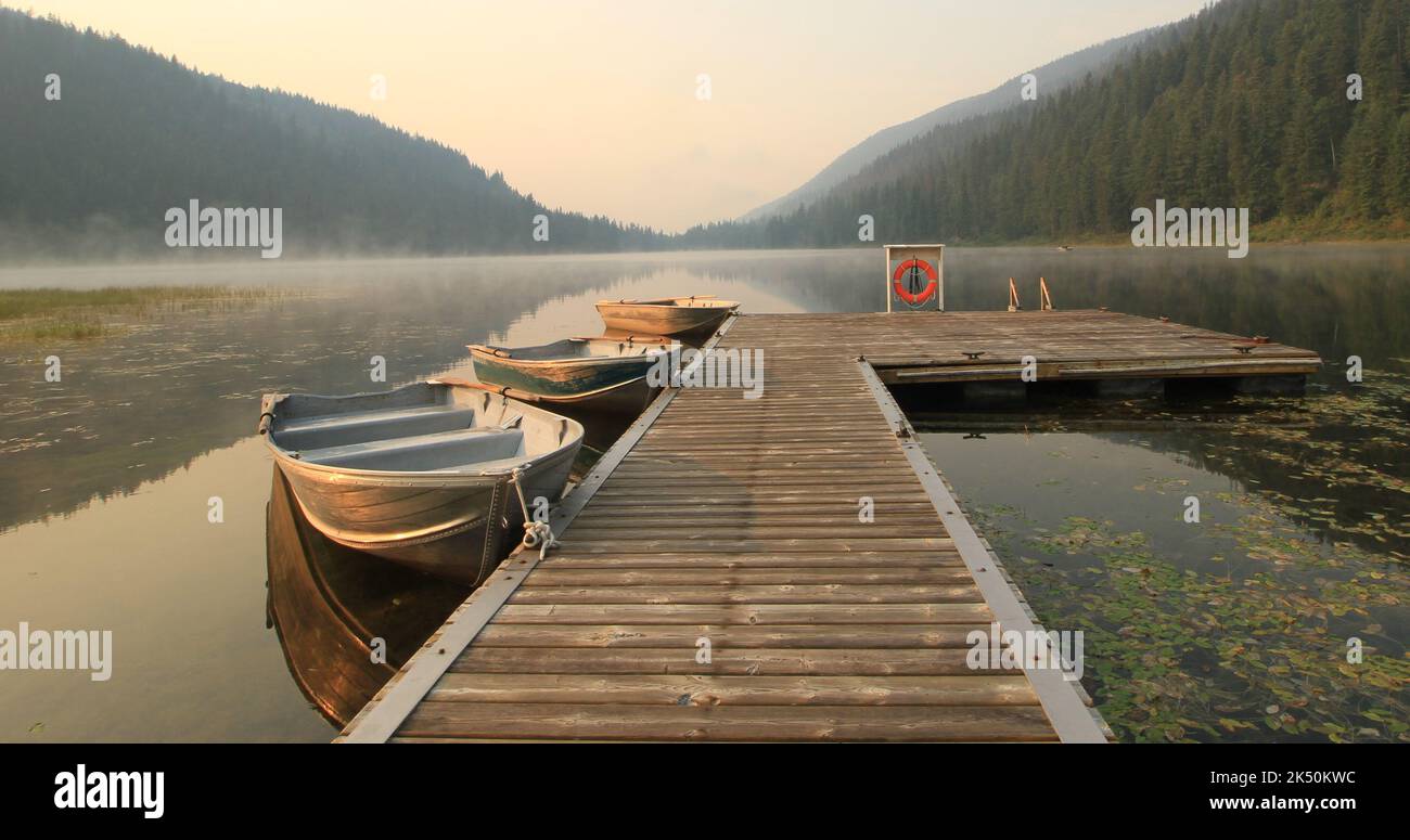 Hallamore hi-res stock photography and images - Alamy