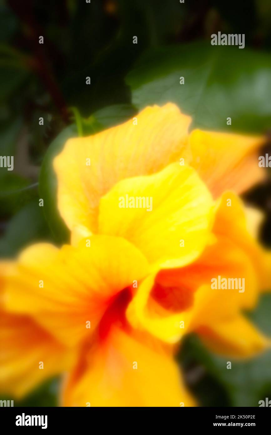 Age-defying, digital age, premium quality, eye-catching, stand-out ...