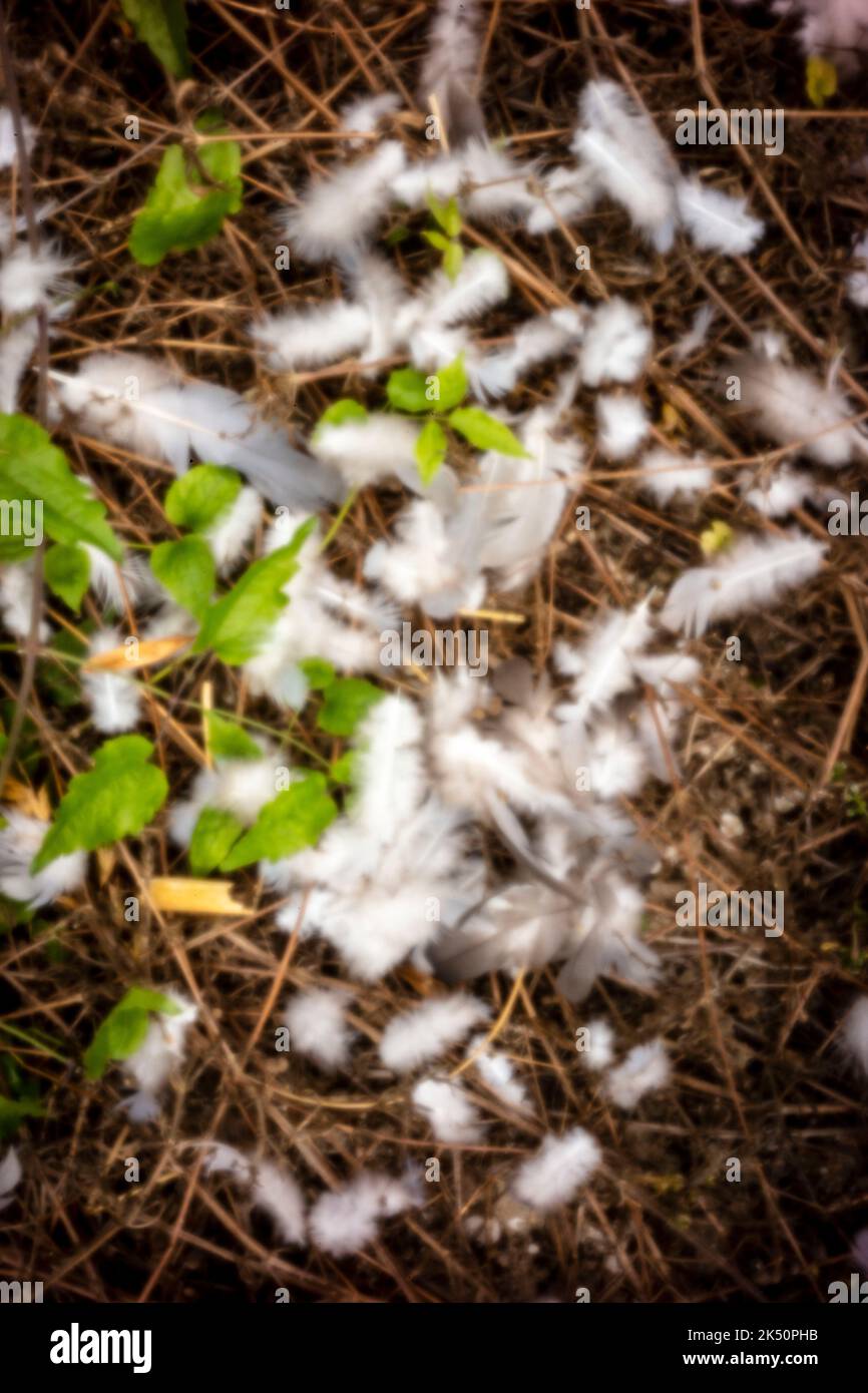 Age-defying, digital age, premium quality, eye-catching, stand-out ...