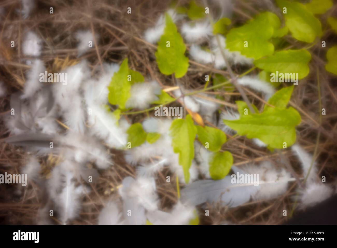 Age-defying, digital age, premium quality, eye-catching, stand-out ...